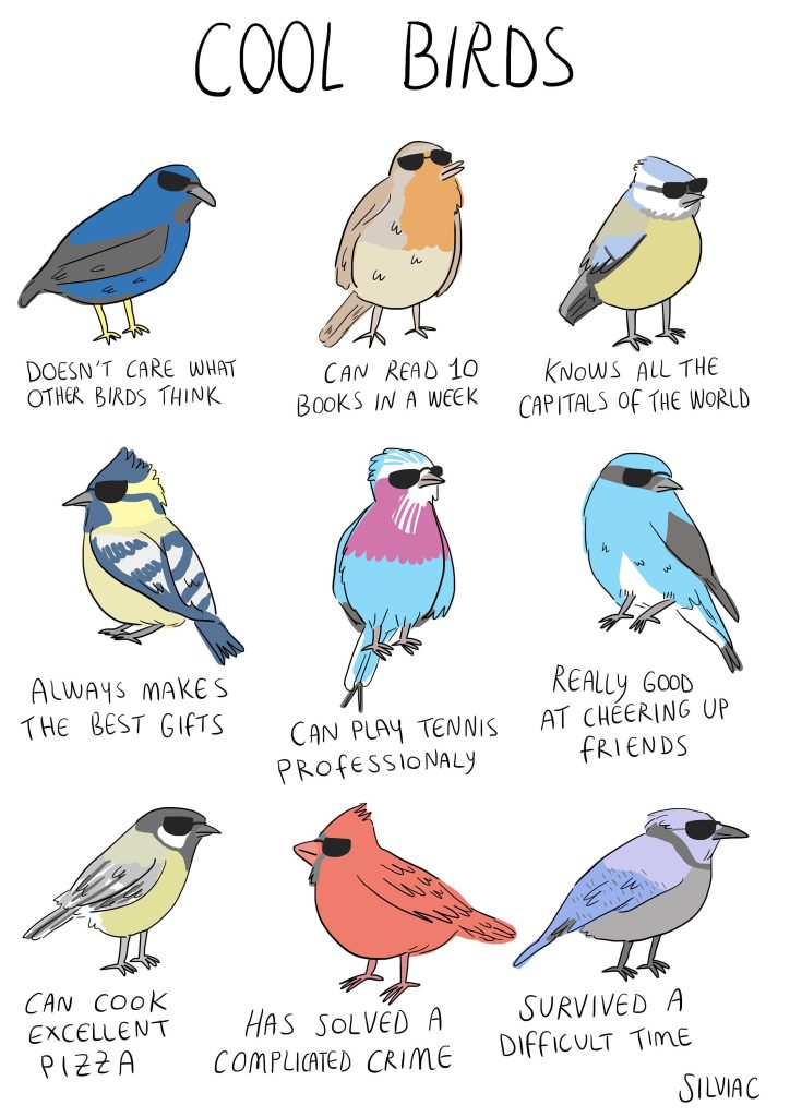 Discover 20 Amazing Cool Birds That Will Leave You In Awe - Zou Board